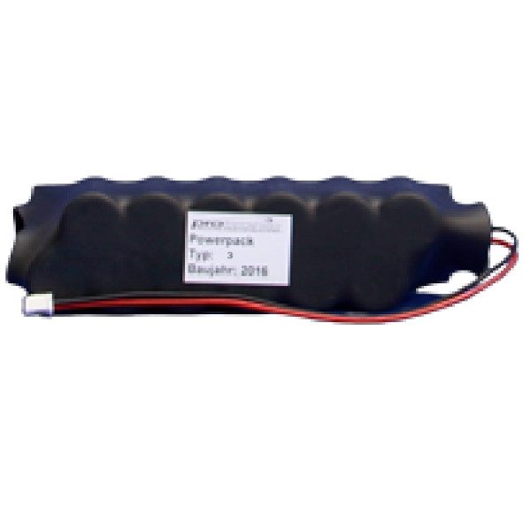 Protronic Powerpac Typ 3 (ohne Gehäuse) für die Notstromversorgung der ...