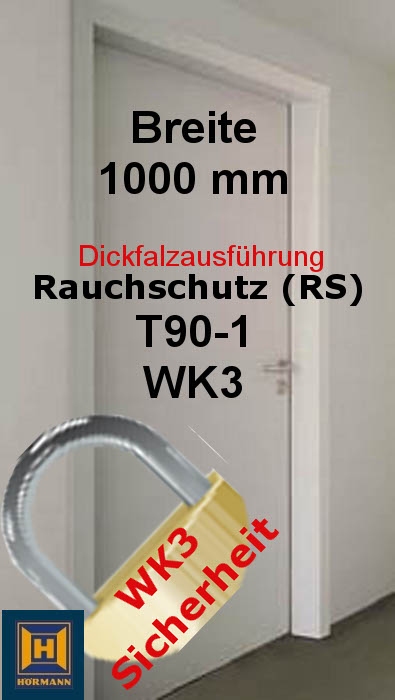 T90-1 H16 WK3 Rauchschutztür, B: 1000 mm, Höhe wählbar, Dickfalz